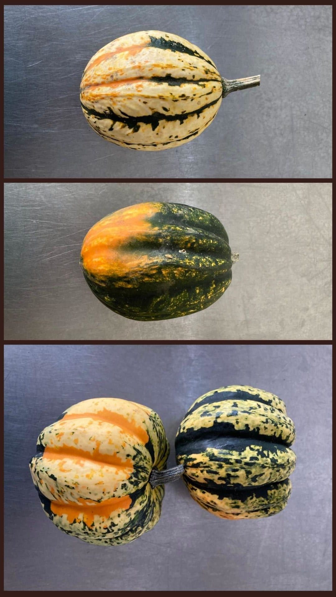 Week #18; Winter squash season begins! - Tipi Produce